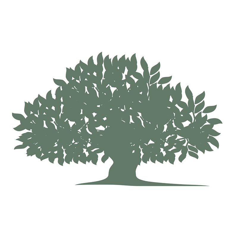 Our Care Homes | Springfield Care Home Locations & Facilities